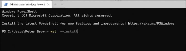 Top Windows 11 Tips and Tricks you should try on Insider Preview