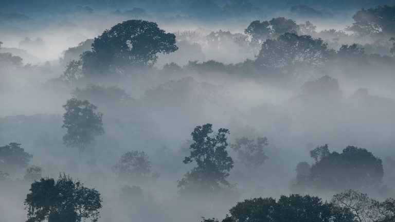 15 Best 4K Themes for Windows 10 and 11 - WindowsChimp